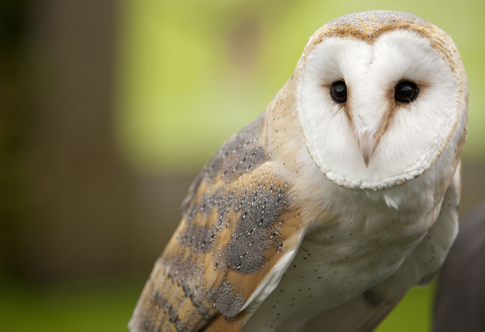 Duinen | Dunea Duin & Water