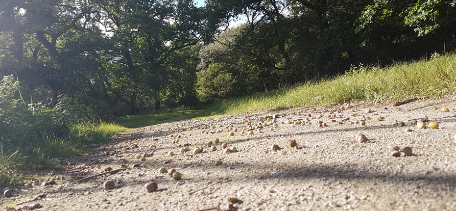 Home | Dunea Duin & Water