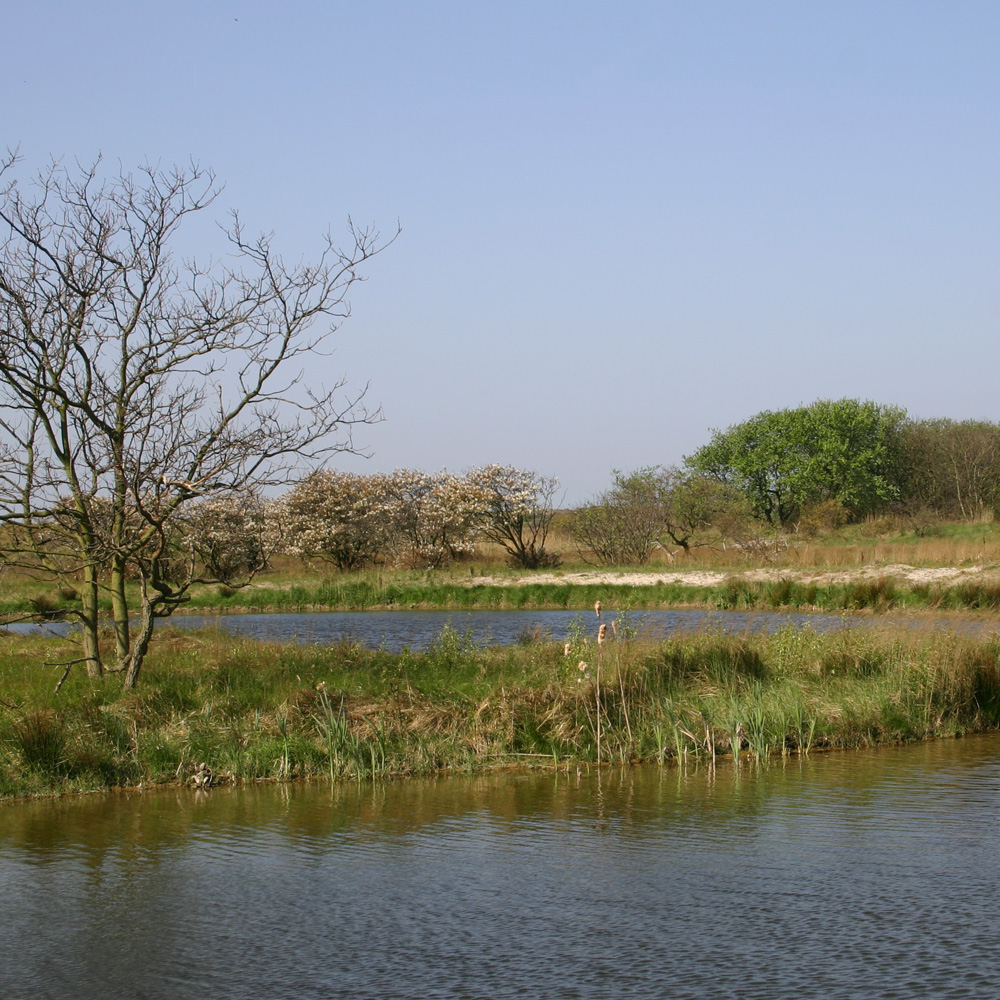 Solleveld | Dunea Duin & Water