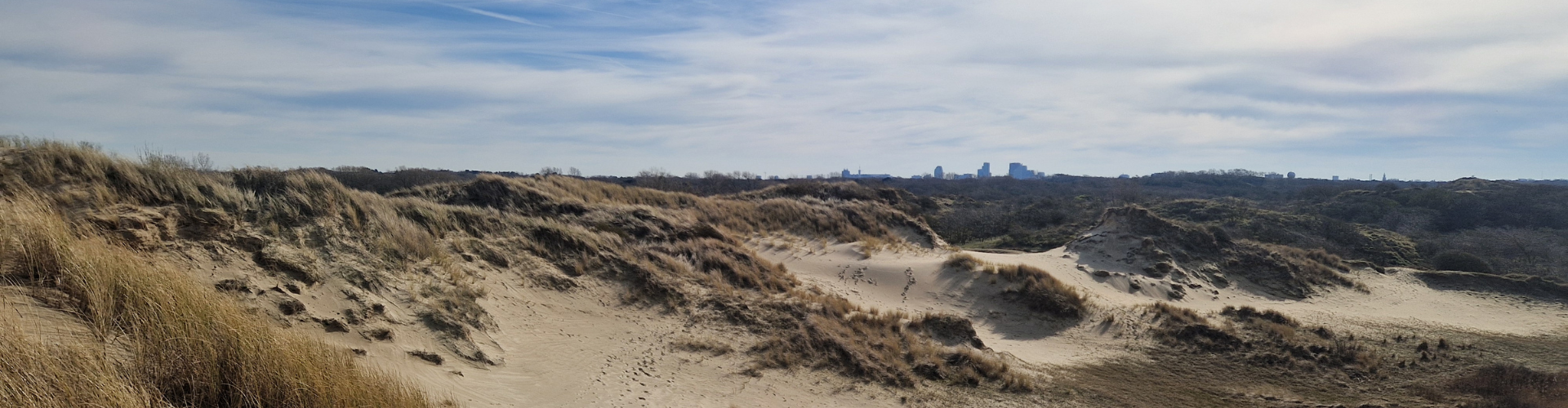 Duinen | Dunea Duin & Water