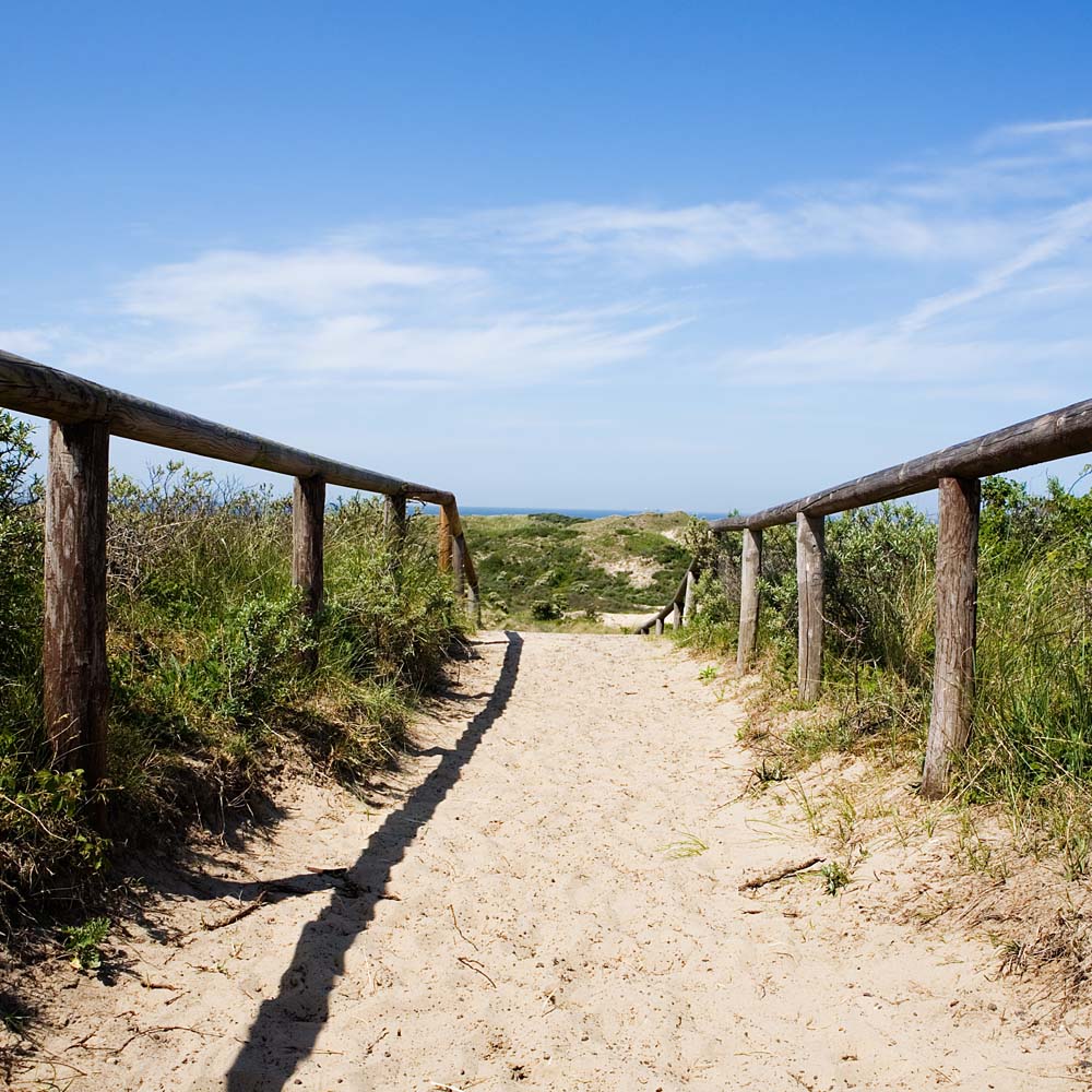 Duinen | Dunea Duin & Water